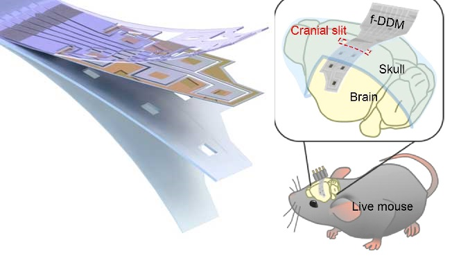 Flexible wireless powered drug delivery system for targeted ...