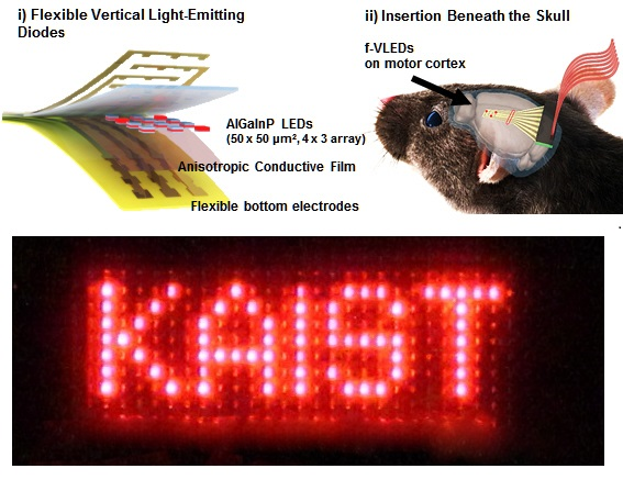 Optogenetic control of body movements via flexible vertical light ...