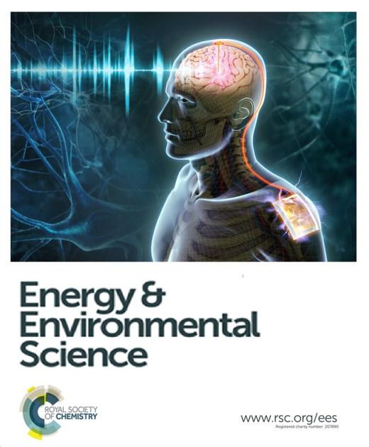 Self-powered deep brain stimulation via a flexible PIMNT energy ...