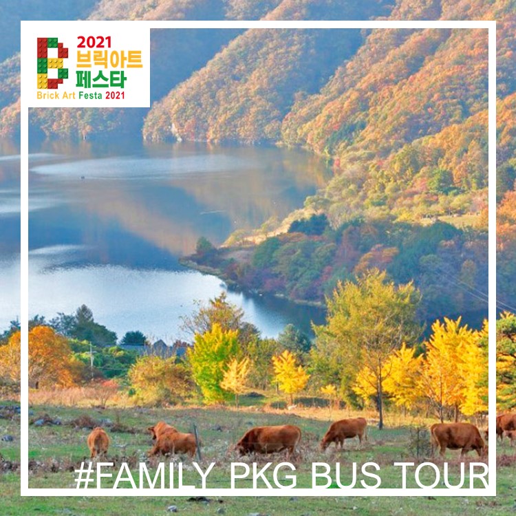 Family Package - Free and Easy Tour : G SHUTTLE