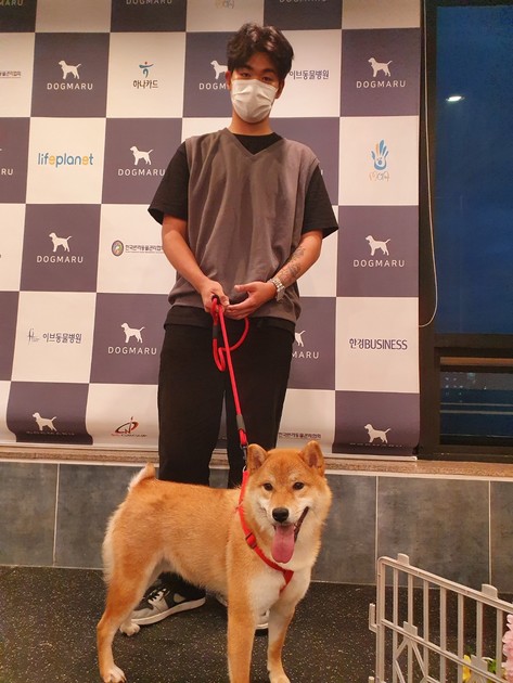 부산 2021 0425 시바이누 기쁨이 책임분양 애완견성격 반려견성격 소형견크기 중형견크기 미니비숑프리제크기 토이푸들크기 골든리트리버크기 래브라도리트리버크기 닥스훈트크기