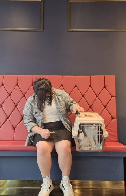 울산 2021 0105 폴드 찐방 책임분양 고양이보호소 유기견보호소 유기묘보호소 비숑프리제책임분양 포메라니안책임분양 말티즈책임분양 말티푸책임분양 푸들책임분양 먼치킨책임