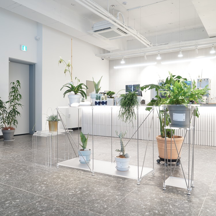 tradgard : builddweller | 빌드웰러