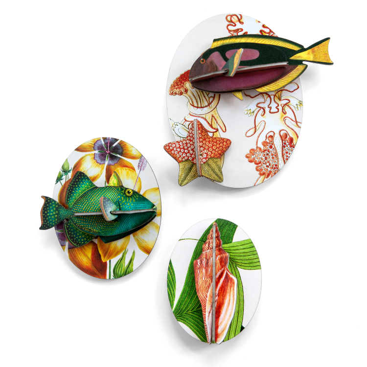 [ Studio ROOF ] Collector's Box Fishes vol 1_ Wall Decoration : 블룹 ...