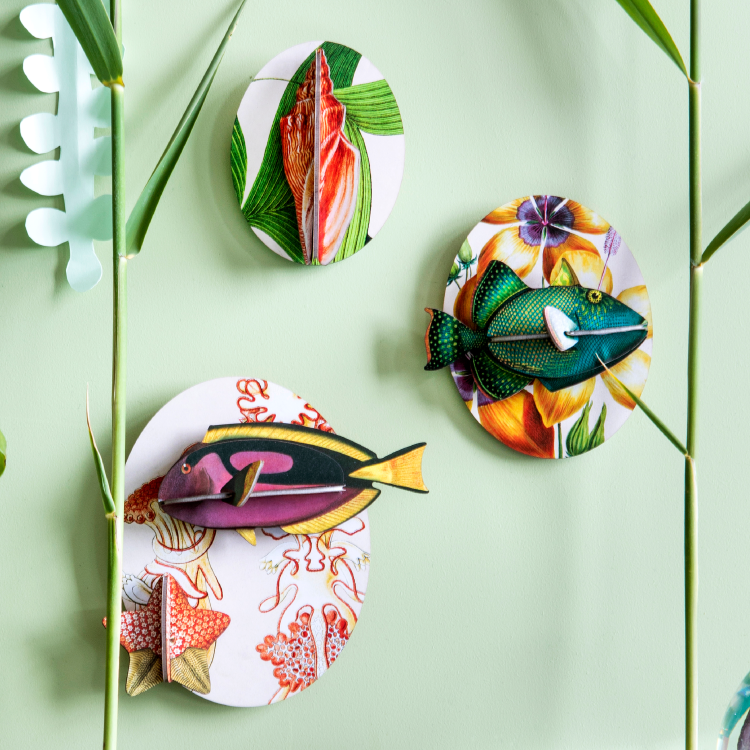 [ Studio ROOF ] Collector's Box Fishes vol 1_ Wall Decoration : 블룹 ...