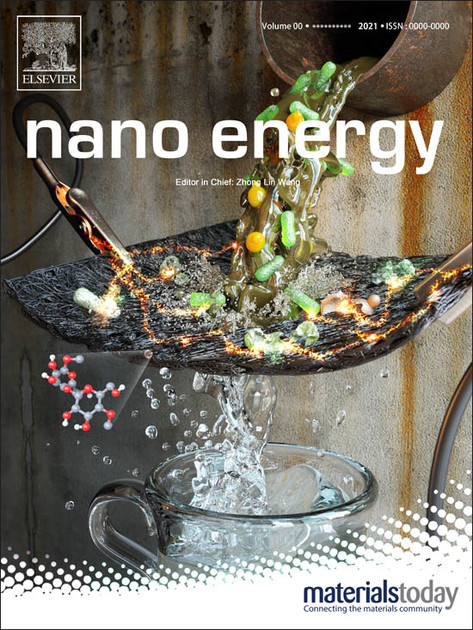 ELSEVIER_Nano Energy : Publishing News