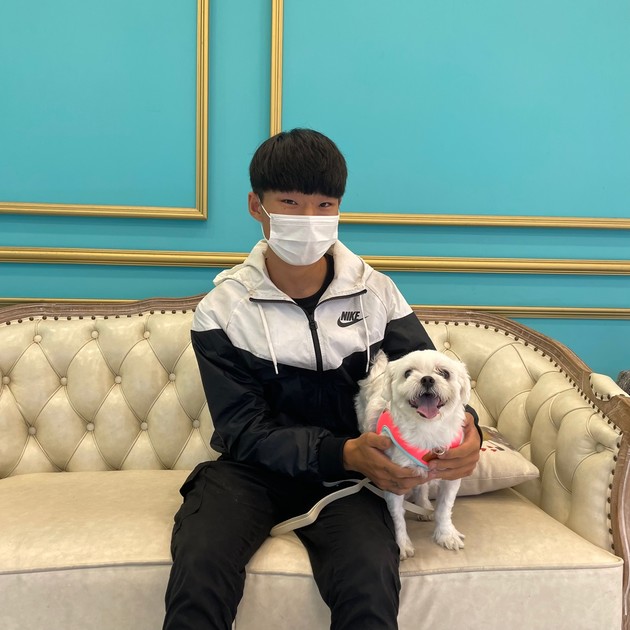 수원 2021 0206 말티즈 용용 책임분양 샴입양 셀커크렉스입양 스코티쉬폴드입양 스핑크스입양 아메리칸숏헤어입양 아비시니안입양 터키시앙고라입양 페르시안입양 애완견입양