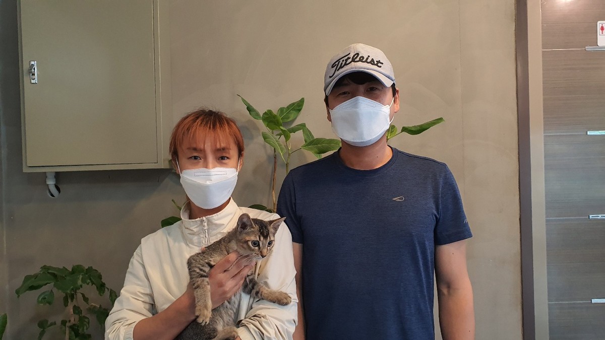 창원 2021 0151 아비시니안 믹스 이 책임분양 애완견성격 반려견성격 소형견크기 중형견크기 미니비숑프리제크기 토이푸들크기 골든리트리버크기 래브라도리트리버크기 닥스훈트