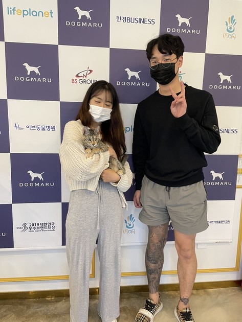 일산 2021 0192 코리안숏헤어 캐리 책임분양 사모예드책임분양 스피츠책임분양 시바견책임분양 시베리안허스키책임분양 시츄책임