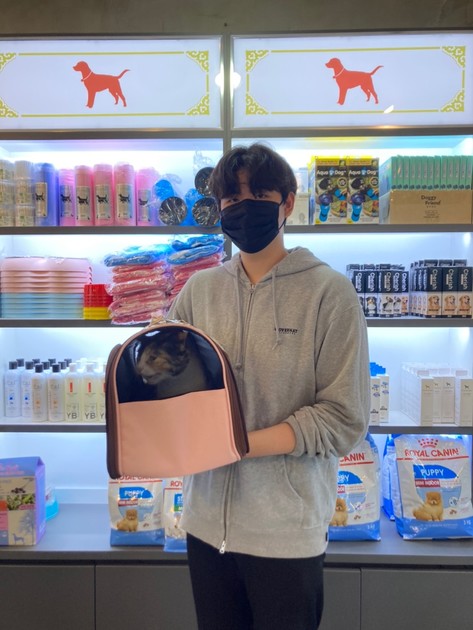 부산 2021 0410 코리안숏헤어 삼식이 책임분양 유기묘무료입양사이트 비숑프리제파양 포메라니안파양 말티즈파양 말티푸파양 푸들파양 먼치킨파양 랙돌파양 브리티쉬숏헤어파양