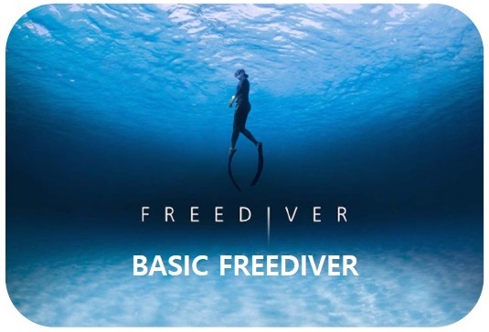 FREEDIVING교육, 프리다이빙교육