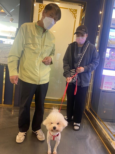 대전 2021 0179 비숑프리제 뚜비 책임분양 말티즈크기 말티푸크기 푸들크기 먼치킨크기 랙돌크기 브리티쉬숏헤어크기 스코티쉬폴드크기 러시안블루크기 강아지크기 고양이크기