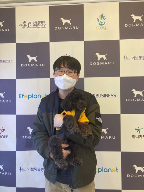 대구 2021 0391 푸들 초코 책임분양 대형견책임분양 미니비숑프리제책임분양 토이푸들책임분양 골든리트리버책임분양 래브라도리트리버책임분양 닥스훈트책임분양 도베르만책임분양