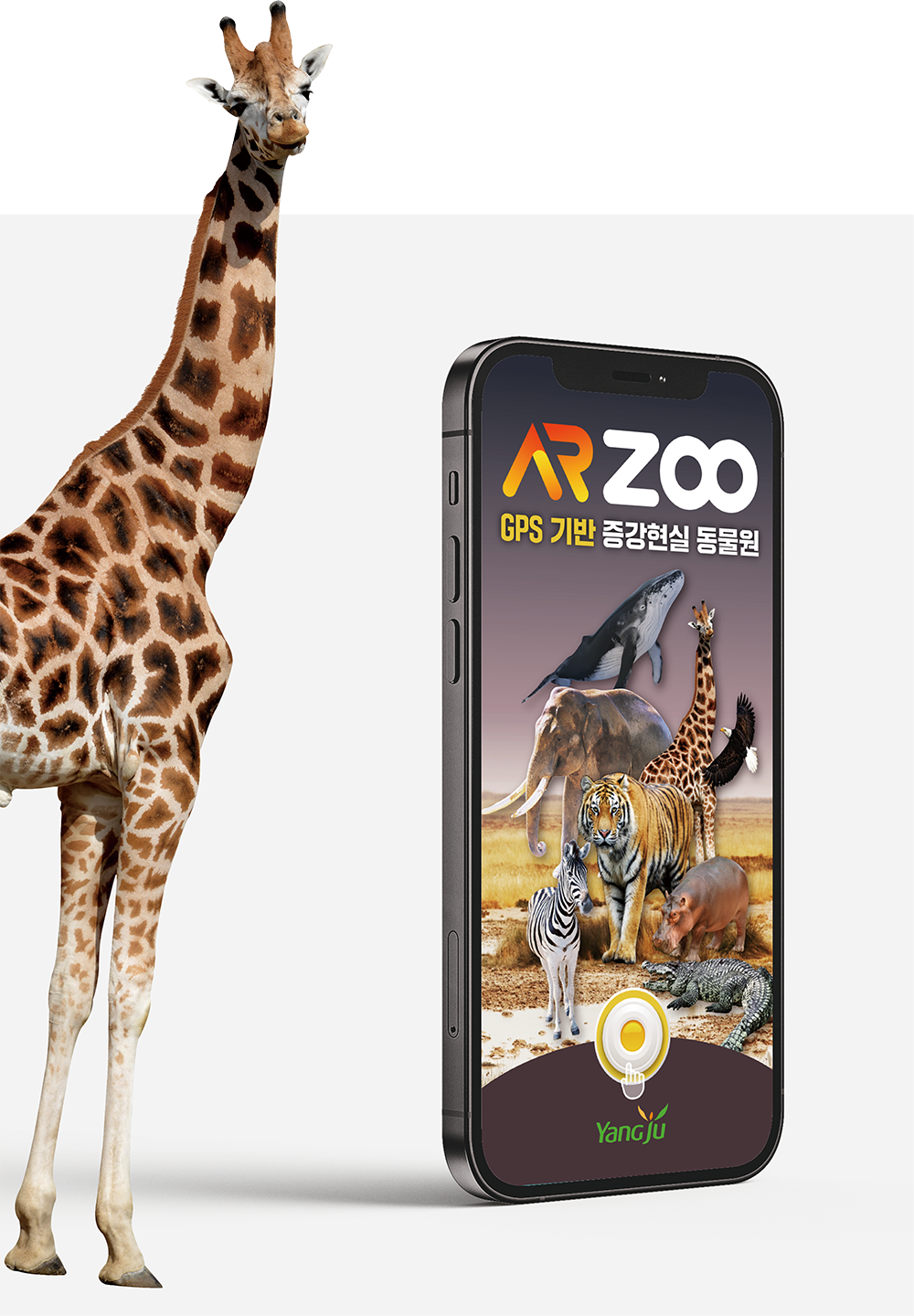 AR Zoo : 디지털동물원