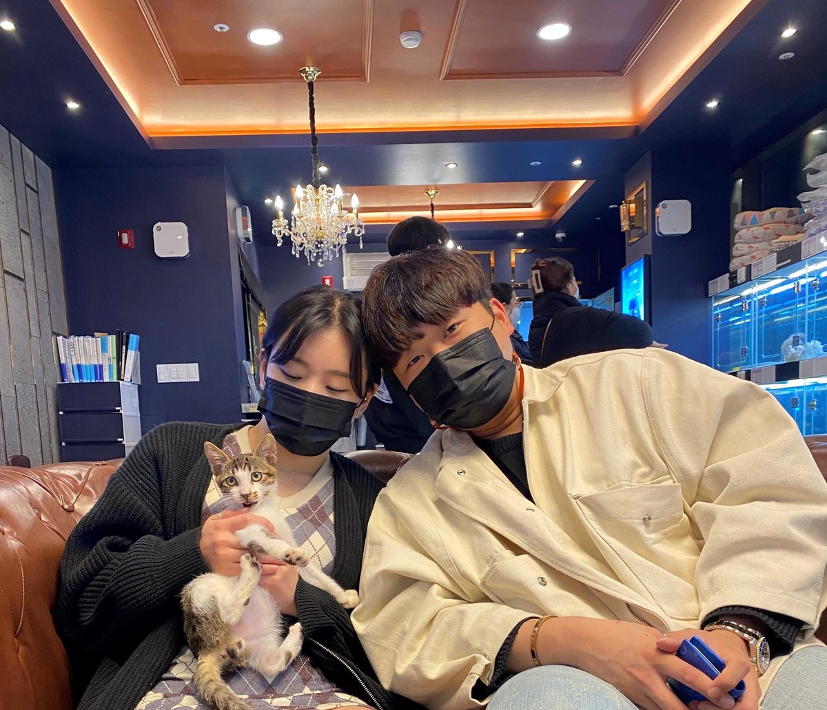 잠실 2021 0220 코리안숏헤어 타로 책임분양 프렌치불독크기 빠삐용크기 파피용크기 사모예드크기 스피츠크기 시바견크기