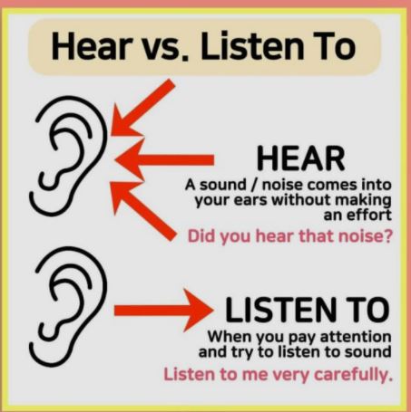 [알아두면 쓸데있는 정보] Hear vs. Listen to : 드림키오-엄마표영어