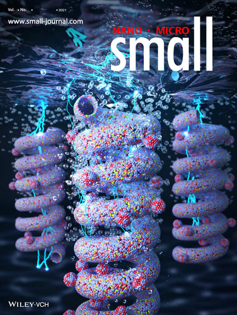 Wiley_Small : Publishing News