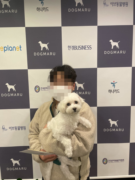 부산 2021 0535 말티즈비숑프리제 믹스 사랑이 책임분양 말티즈크기 말티푸크기 푸들크기 먼치킨크기 랙돌크기 브리티쉬숏헤어크기 스코티쉬폴드크기 러시안블루크기 강아지