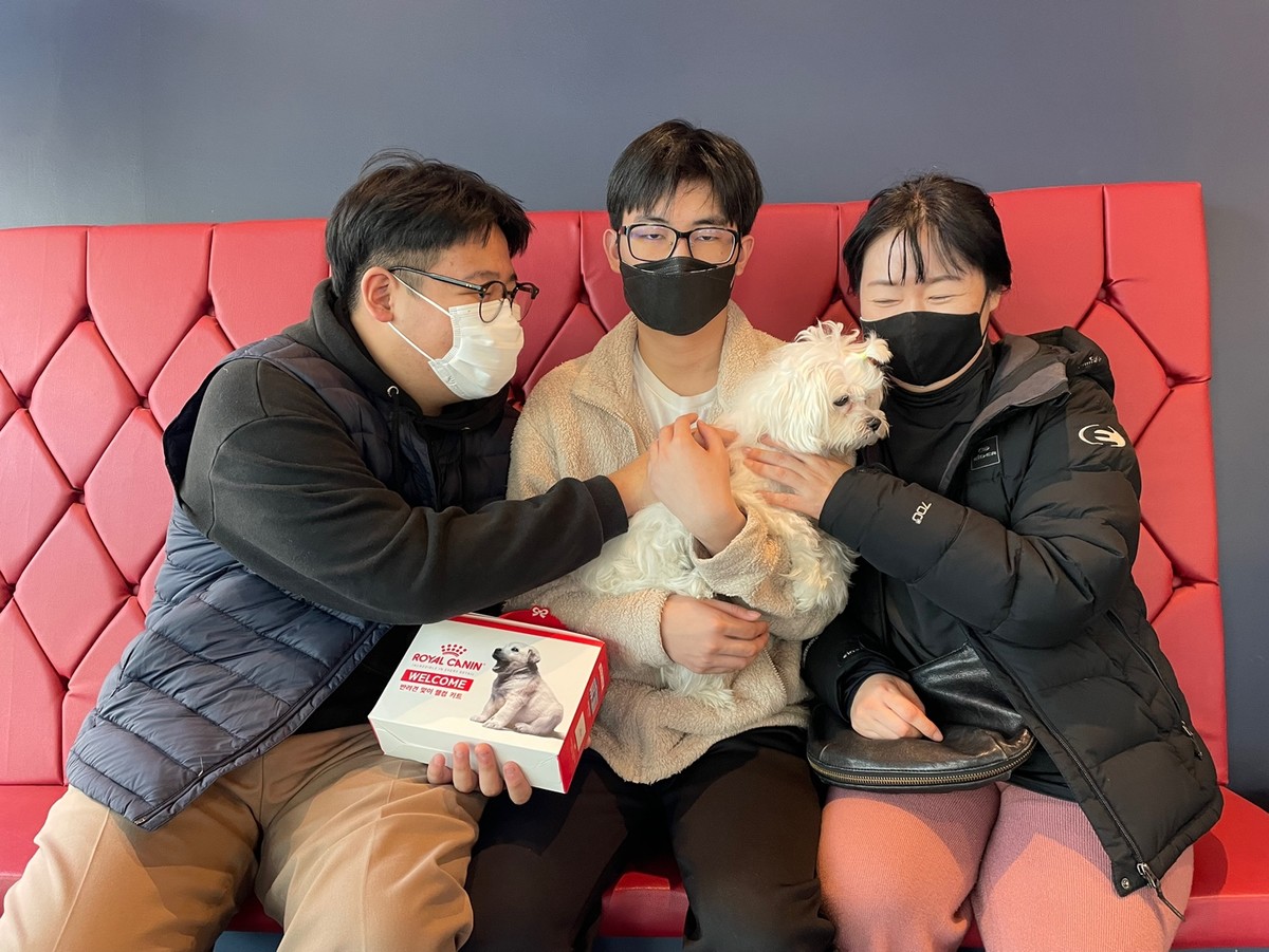 울산 2021 0160 말티즈 사랑 책임분양 유기묘무료입양사이트 비숑프리제파양 포메라니안파양 말티즈파양 말티푸파양 푸들파양 먼치킨파양 랙돌파양 브리티쉬숏헤어파양