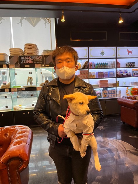 인천논현 2021 0040 진도 믹스 빨강이 책임분양 유기묘무료입양사이트 비숑프리제파양 포메라니안파양 말티즈파양 말티푸파양 푸들파양 먼치킨파양 랙돌파양 브리티쉬숏헤어파양