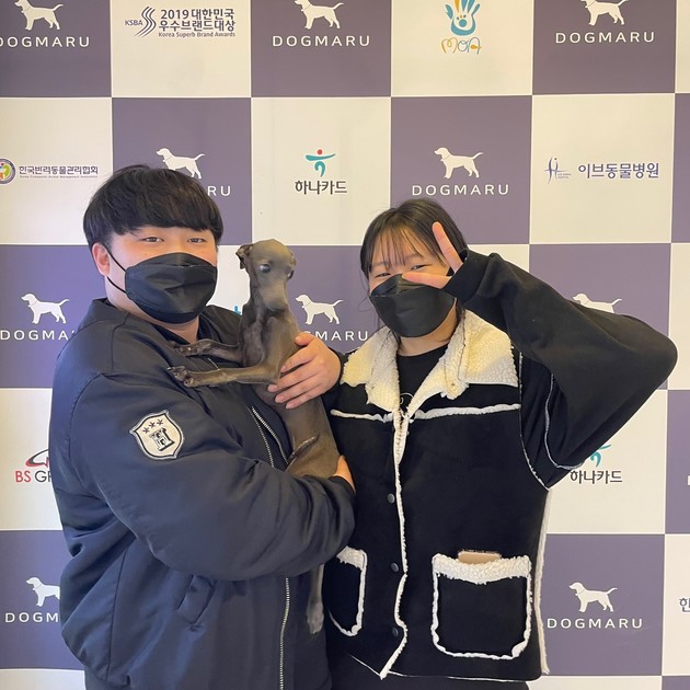 대구 2021 0421 이탈리안그레이하운드 장군이 책임분양 말티즈크기 말티푸크기 푸들크기 먼치킨크기 랙돌크기 브리티쉬숏헤어크기 스코티쉬폴드크기 러시안블루크기 강아지크기