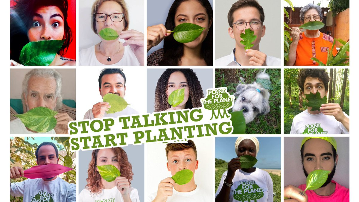 Stop Talking. Start Planting. : ESG 캠페인 사례 연구 기반의 칼럼