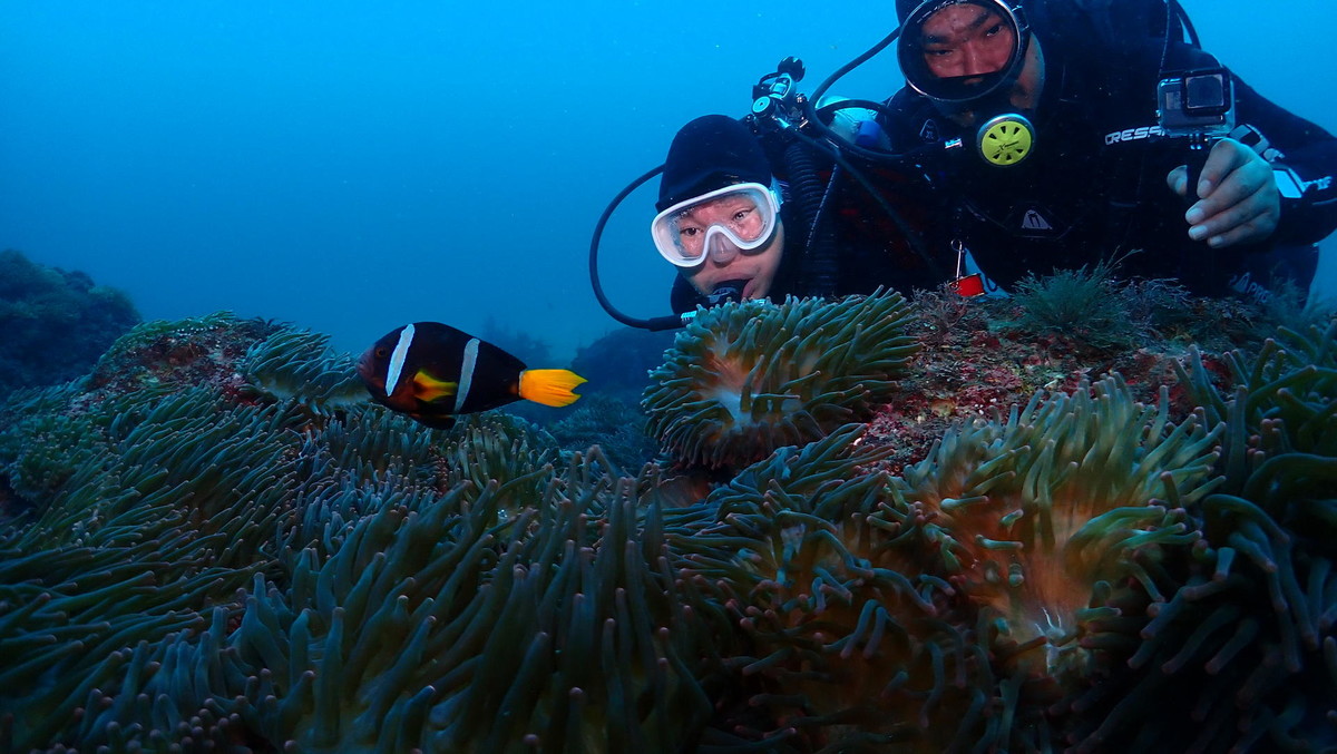 2021.12.16 Diving Log : GOOD DIVER