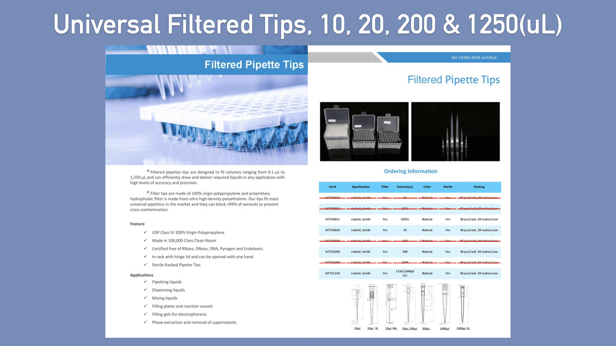 Universal Filtered Tips, 10,20, 200 & 1250(uL) : 이앤씨바이오