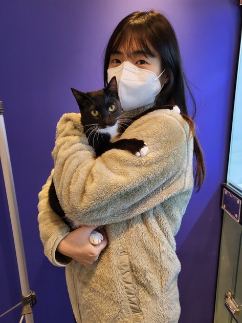 노원 2021 0208 코리안숏헤어 럭키 책임분양 애완견성격 반려견성격 소형견크기 중형견크기 미니비숑프리제크기 토이푸들크기 골든리트리버크기 래브라도리트리버크기 닥스훈트