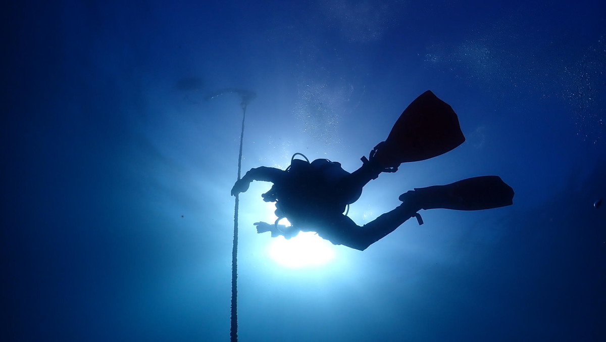 2021년 마지막도 굿다이버 : GOOD DIVER