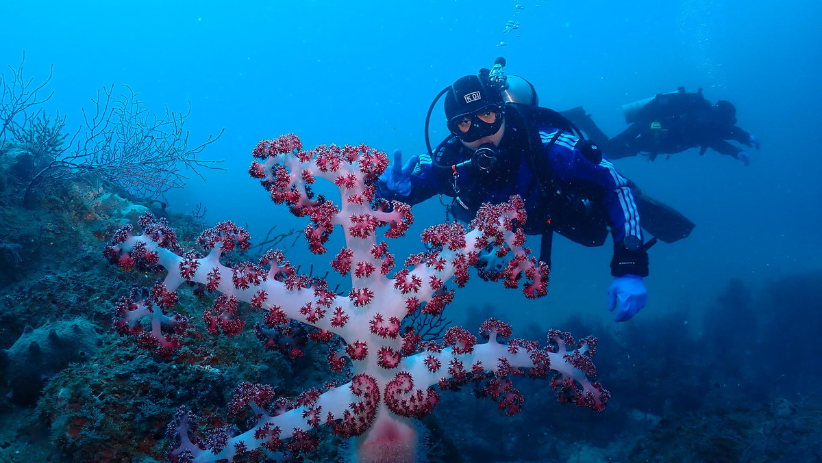 늦은? 후기입니다ㅋㅋ : GOOD DIVER