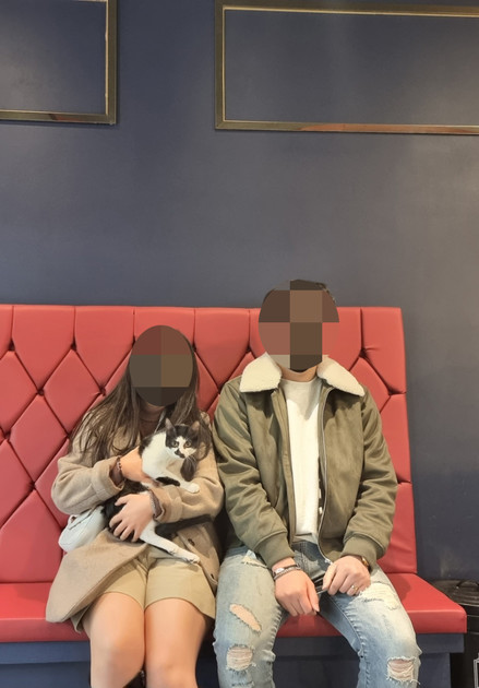 울산 2021 0177 코리안숏헤어 곤 책임분양 샴입양 셀커크렉스입양 스코티쉬폴드입양 스핑크스입양 아메리칸숏헤어입양 아비시니안입양 터키시앙고라입양 페르시안입양 애완견입양