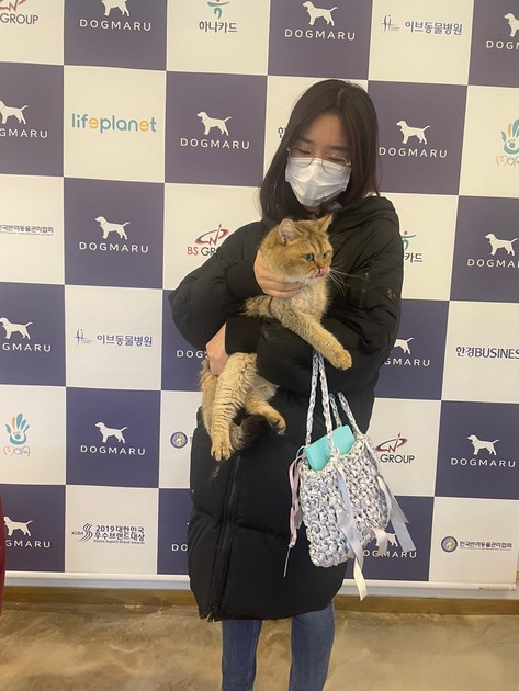 일산 2022 0005 브리티쉬숏헤어 레옹 책임분양 이탈리아그레이하운드입양 치와와입양 폼스키입양 폼치입양 폼피츠입양 푸숑입양 고양이입양 랙돌입양 러시안블루입양 먼치킨입양