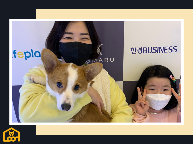 웰시코기 땅콩이 책임분양 비숑프리제분양가 유기견 미니비숑 웰시코기분양 스피츠 요크셔테리어분양 먼치킨고양이 노르웨이숲고양이분양 빅토리아펫보호소 입양완료