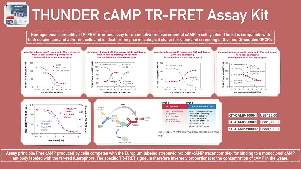 THUNDER™ cAMP TR-FRET Assay Kit, 1000/5000/20000 assay points ...