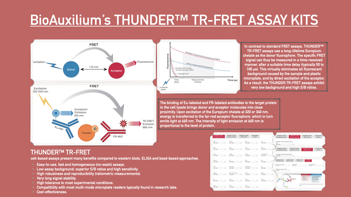 Bioauxilium THUNDER™ TR-FRET Assay Kits : LUM, TRF, Alpha Readers etc.