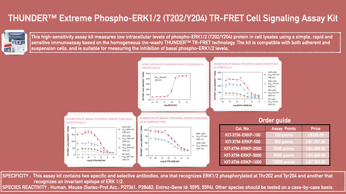 THUNDER™ Extreme Phospho-ERK1/2 (T202/Y204) TR-FRET Cell Signaling ...