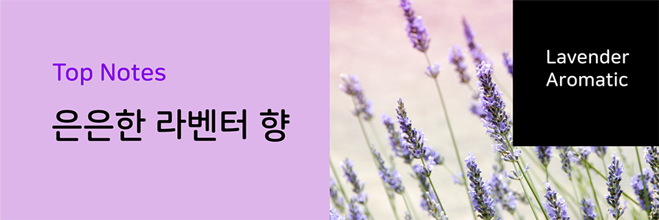 ECOLAB 한국이콜랩 공기소독 방향제 탈취제