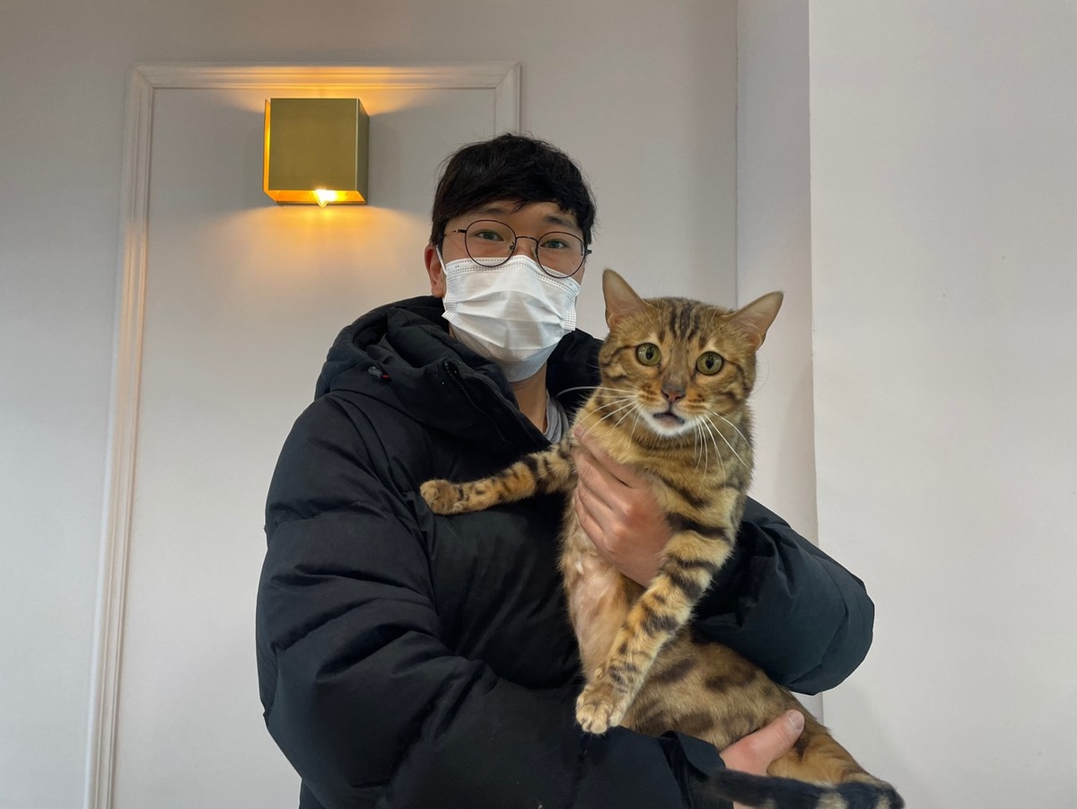 청주 2022 0007 뱅갈 루니 책임분양 샴입양 셀커크렉스입양 스코티쉬폴드입양 스핑크스입양 아메리칸숏헤어입양 아비시니안입양