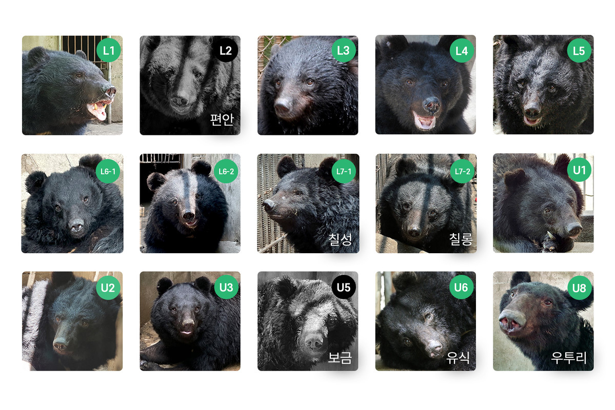 2021 Annual Review : Project Moon Bear