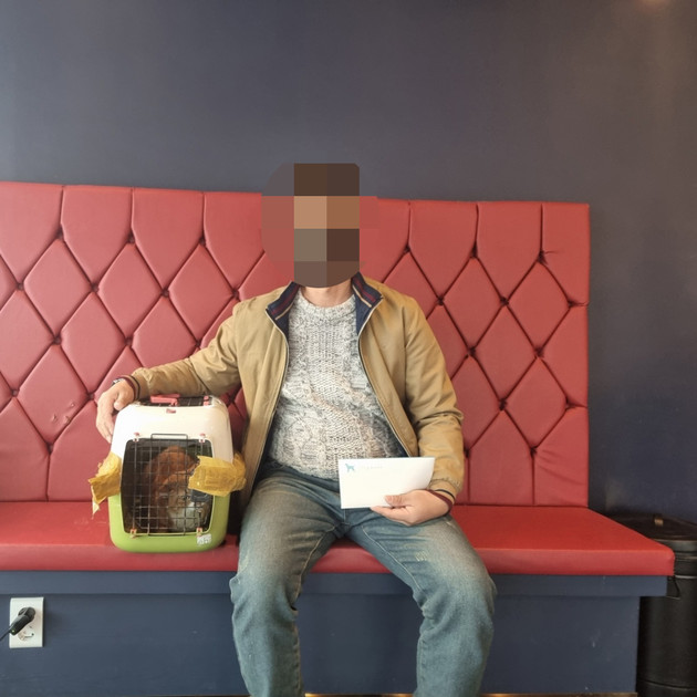 울산 2022 0034 코리안숏헤어 꼼짝이 책임분양 샴분양가격 셀커크렉스분양가격 스코티쉬폴드분양가격 스핑크스분양가격 아메리칸숏헤어분양가격 아메리칸컬분양가격 아비시니안