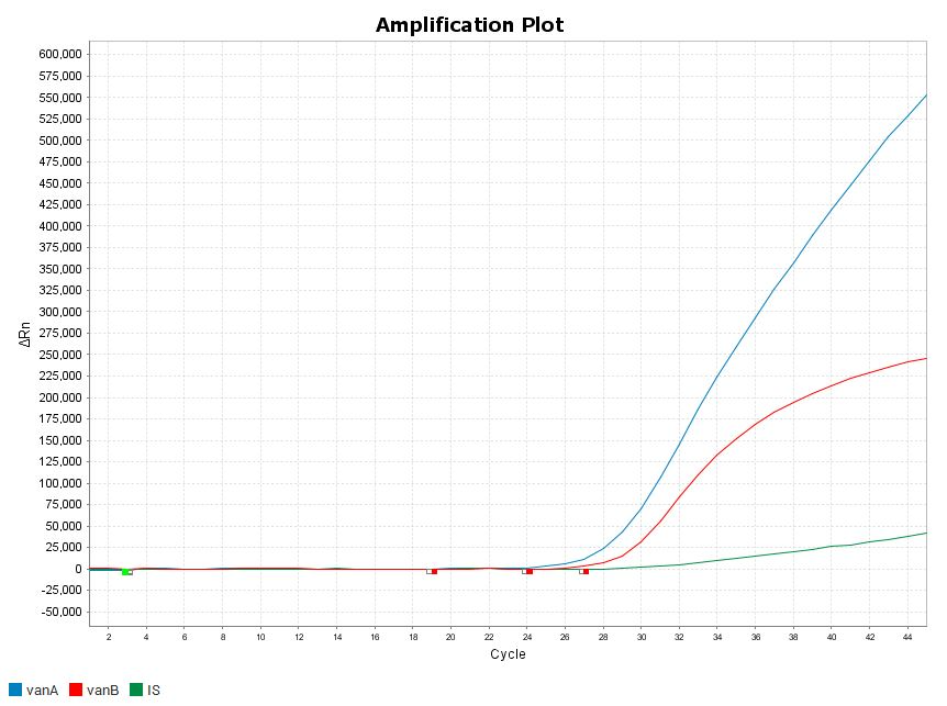#21 VRE(VanA, VanB) 증폭 실험 : Genomic Pub