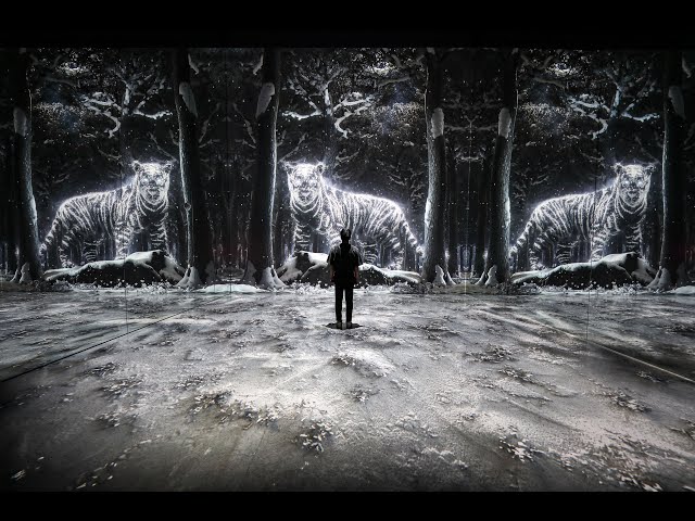 ARTE MUSEUM GANGNEUNG : d'strict - ART CONTENTS