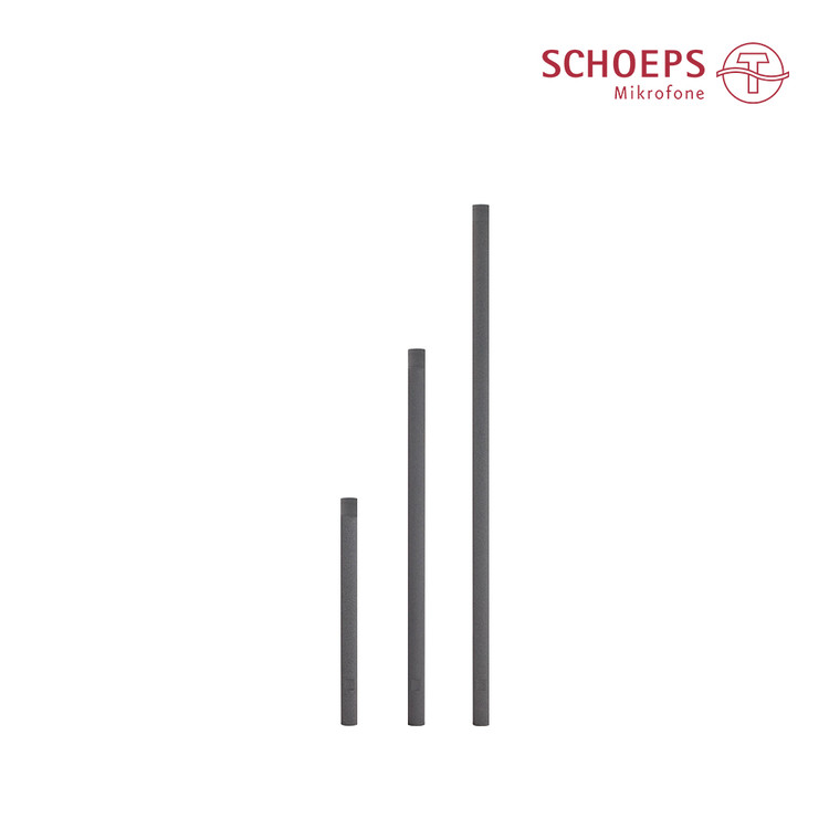 [SCHOEPS] STR : 캡스톤프로