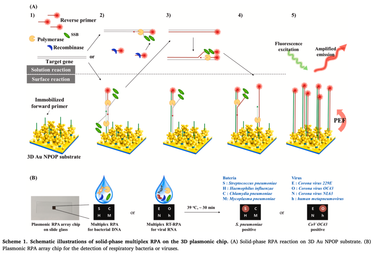 Rapid and sensitive multiplex molecular diagnosis of respiratory ...