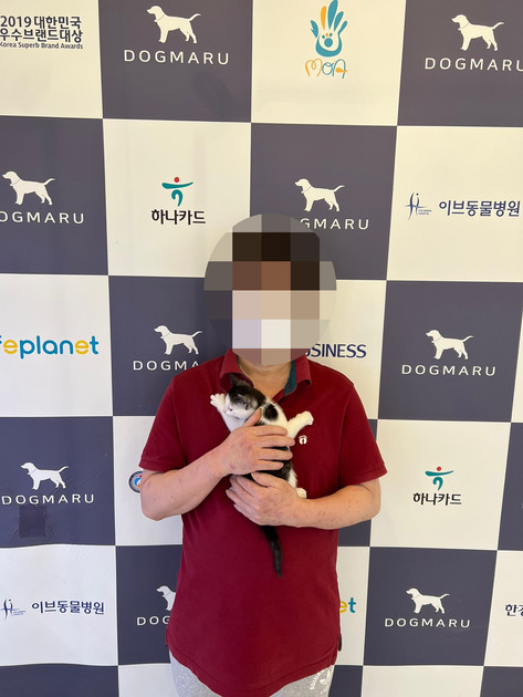 대구 2022 0114 코리안숏헤어 나리 책임분양 애완견성격 반려견성격 소형견크기 중형견크기 미니비숑프리제크기 토이푸들크기 골든리트리버크기 래브라도리트리버크기 닥스훈트