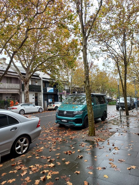 Fall in Sydney! : 호주조기유학 맘스토리