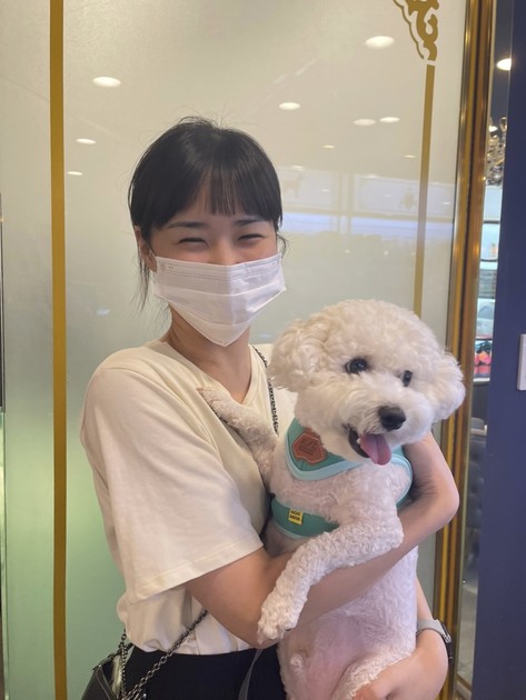 대전 2022 0077 비숑프리제 숑이 책임분양 프렌치불독크기 빠삐용크기 파피용크기 사모예드크기 스피츠크기 시바견크기 시베리안허스키크기 시츄크기 요크셔테리어크기 웰시코기