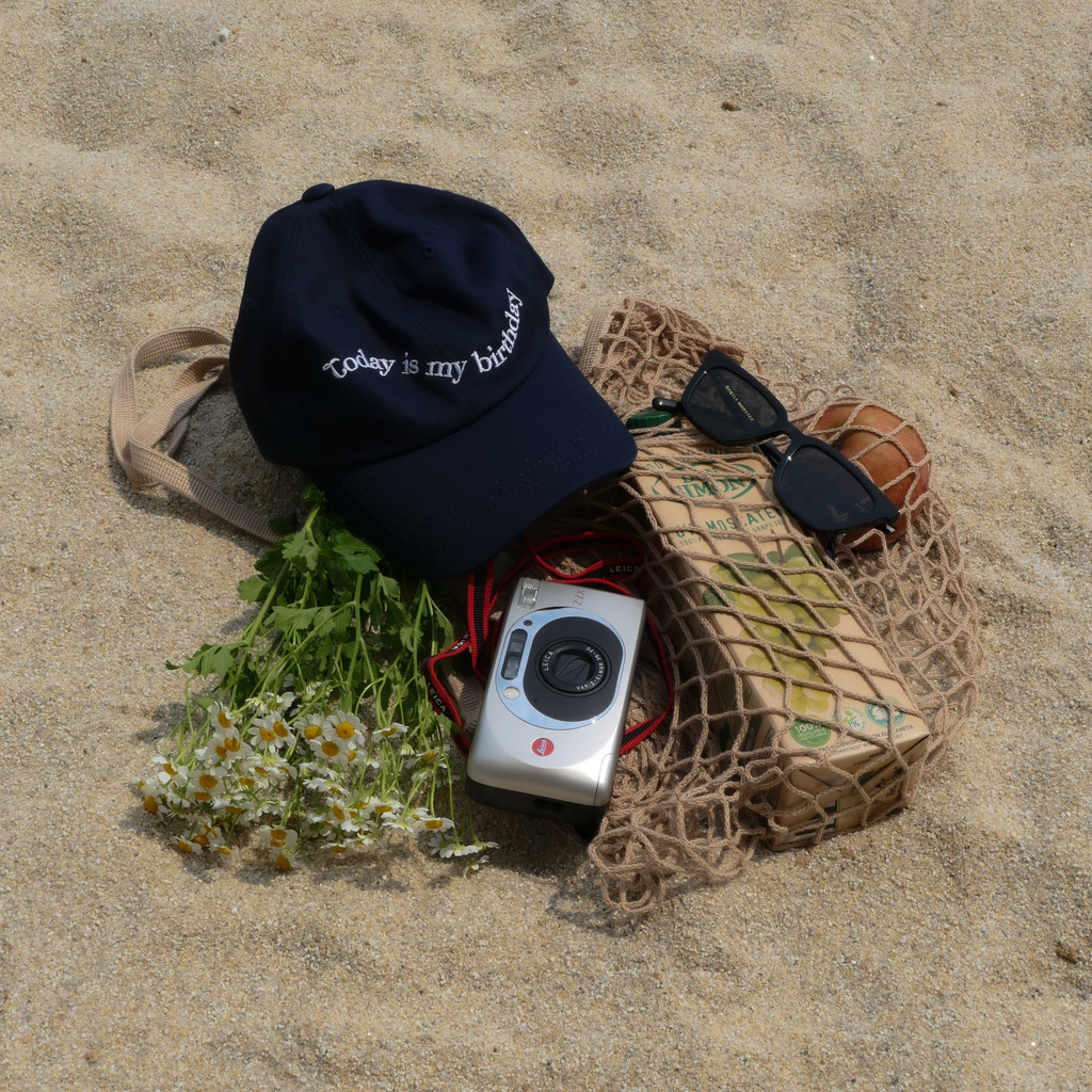 WAVE LOGO CAP (NAVY) : timb