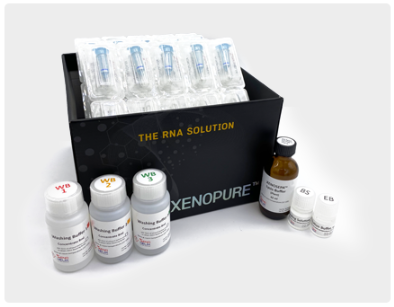XENOPURE™ - Plant Small RNA Purification Kit : 제품소개>제노헬릭스